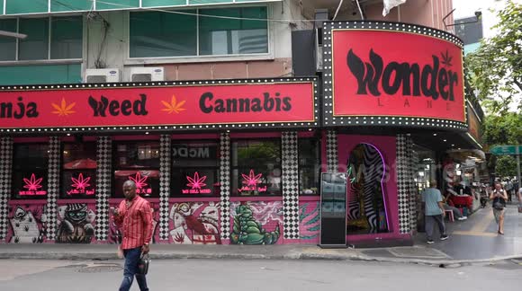 Thailand facing cannabis shop exodus as dopey government makes ...