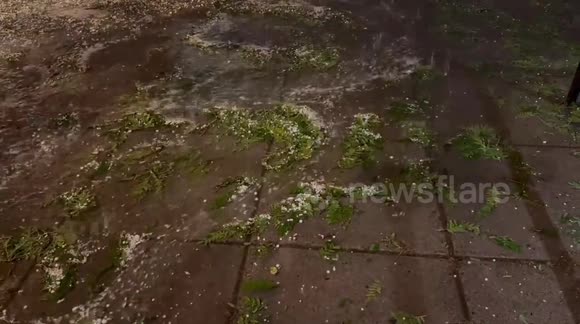 US: 1 Killed, Deadly Storms With Intense Hail Batter Northern Colorado ...