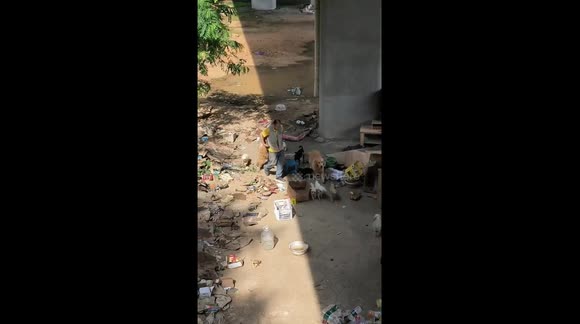 Caring scrap collector makes home for stray dogs under bridge - Buy ...