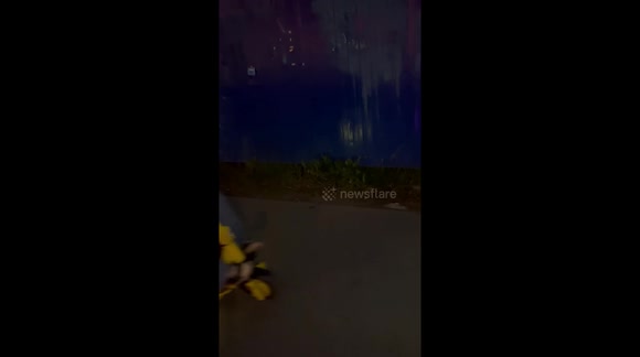 Sofa scooting shenanigans: hilarious electric scooter ride - Buy, Sell ...