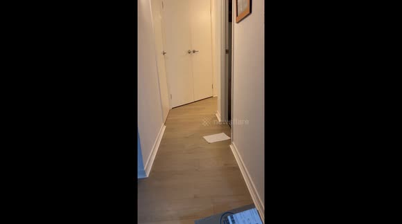 Hugo the Cat Helping With the Paperwork - Buy, Sell or Upload Video ...