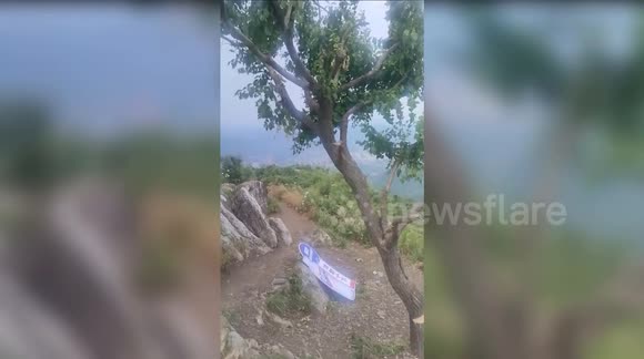 Outrage as famous 60-year-old 'welcoming' tree is vandalised in China ...