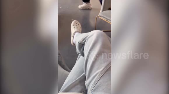 Cat sits cross-legged like a human - Buy, Sell or Upload Video Content ...