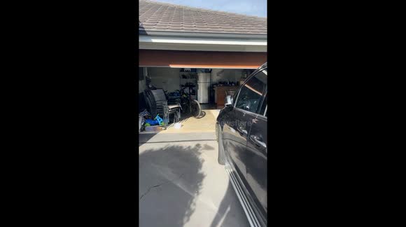 Kaizer, the 'big scary Rottweiler' loves cuddling with his mom - Buy ...