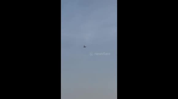 Bird vs. drone: aerial showdown in Mexico City - Buy, Sell or Upload ...