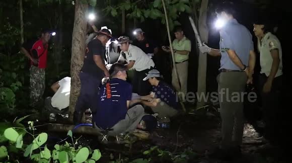 One-eyed tiger 'Balakol' returns to forest in Thailand - Buy, Sell or ...