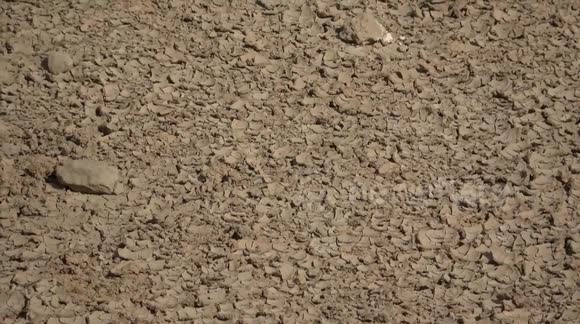 Syria faces severe water shortage, desertification, warn officials ...