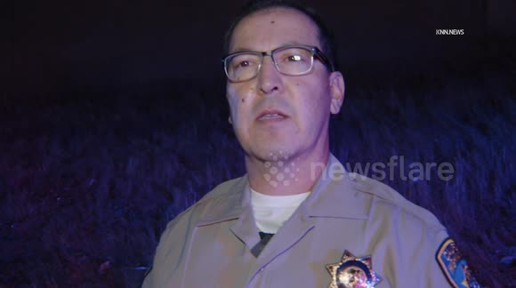 USA: 2 Horses Killed 1 Saved in Freeway Crash CHP Sergeant Incident ...