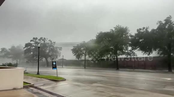 Hurricane Beryl: Video shows trees swaying due to strong winds - Buy ...