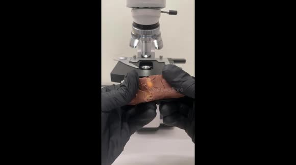 This is what a Snickers chocolate bar looks like under a microscope ...