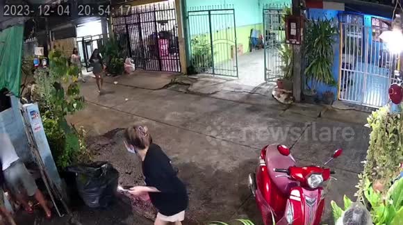 Fearless resident catches huge python outside neighbour's house - Buy ...