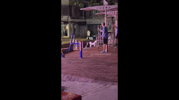 Chinese grandpa takes puppy to experience exercise equipment - Buy ...