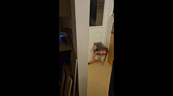 Woman Gets Stuck in Dog Door - Buy, Sell or Upload Video Content with ...