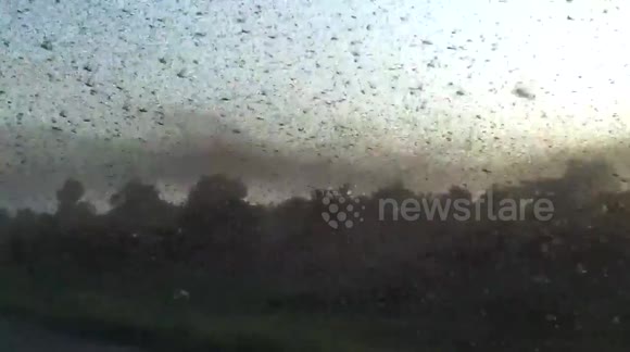 Locust swarm blots out the Sun - Buy, Sell or Upload Video Content with ...