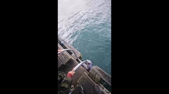Man falls into water while attempting to catch fish - Buy, Sell or ...