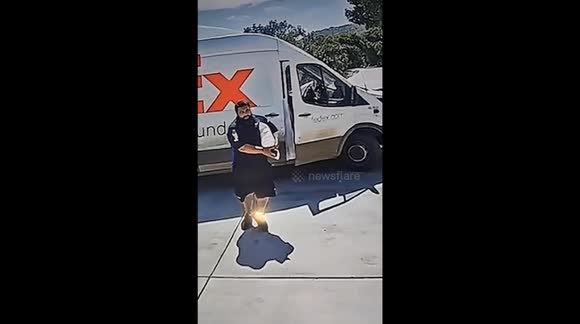 FedEx delivery drive dives through van window to escape pursuing dog ...