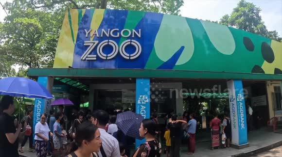 Yangon Zoo celebrates World Elephant Day with awareness activities ...