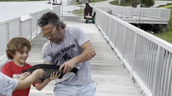 Father and son out-manoeuvre massive alligator to reel in impressive ...