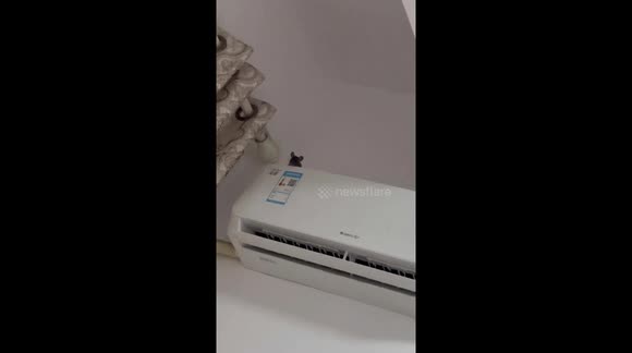 Mouse spotted on air conditioner in China startles residents - Buy ...