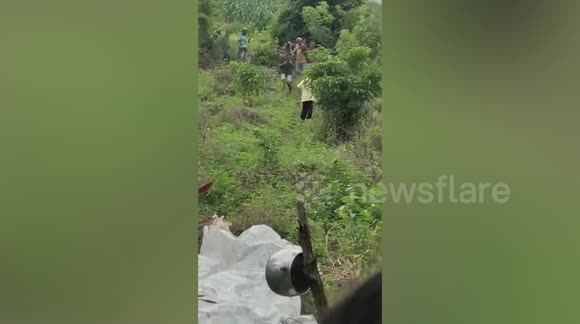 Grandmother, 74, squeezed to death by huge 13ft python in Indonesia ...