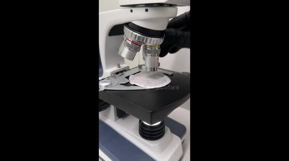 Here’s what tea bags look like under a microscope. Filmed on a ...