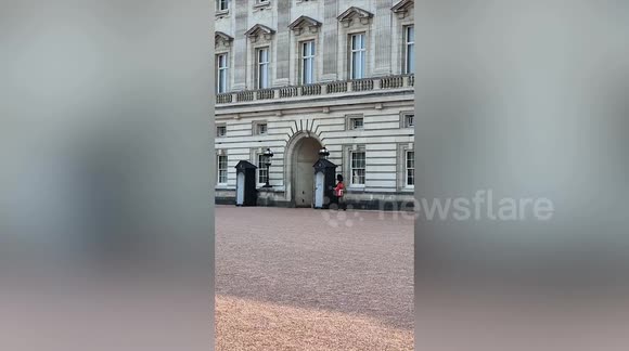 Buckingham Palace guard slips and lands on his bottom while on duty ... Buckingham Palace guard slips and lands on his bottom while on duty ...
