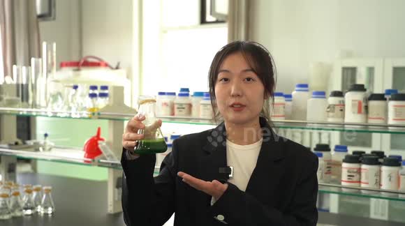 Discovering microalgae: an efficient approach to carbon sequestration ...