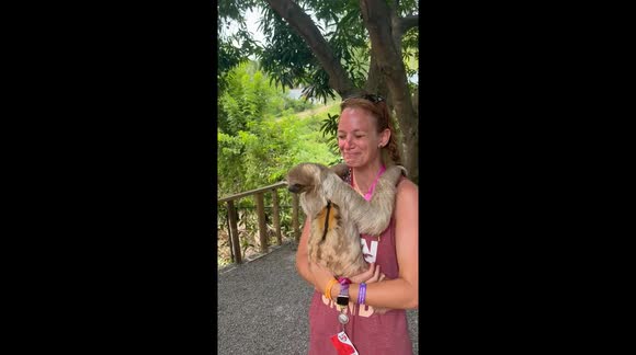 Girl lives her dream moment while holding a sloth for the first time ...