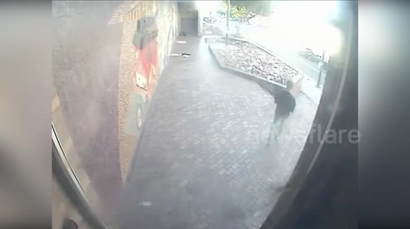 USA: Suspect Set LAPD Station on Fire - Buy, Sell or Upload Video Content with Newsflare