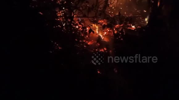 Forest fires in Ecuador have already consumed 7,600 hectares - Buy ...