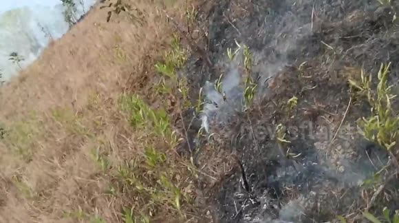 Ecuador: Colombia and Peru help fight a forest fire in southern Ecuador ...