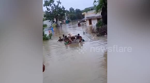 Neighbours lift dog on a bench through chest-deep floods in India - Buy ...
