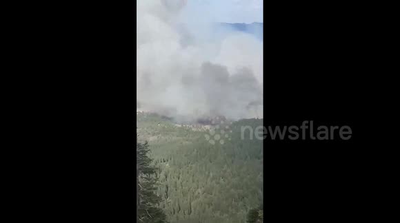 US: Davis Fire Burns South Of Reno Triggering Widespread Evacuations 3 ...