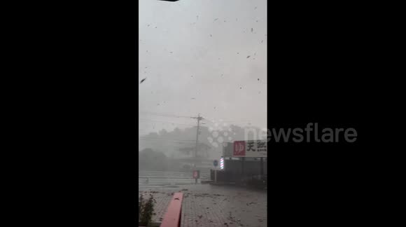 Japan: Thunderstorm Delivers Big Hail And Damaging Winds To Tokyo Area ...
