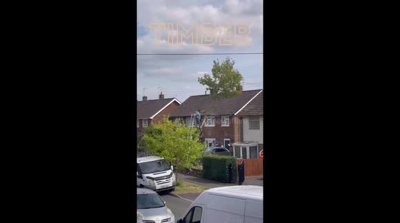 Tree surgery gone wrong fail house damage chainsaw cowboy pikey cut ...