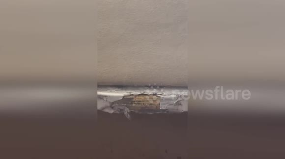 US: TikTok User Exposes "Worst First Class Experience" on Air India's ...