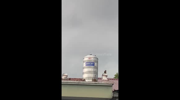 Monkey spotted riding rotating roof ventilator in Taiping, Malaysia ...