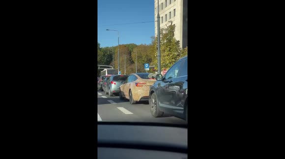 Tesla car with leopard print spotted in Warsaw - Buy, Sell or Upload ...