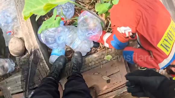 Firemen remove monitor lizard from drain in family's garden - Buy, Sell ...