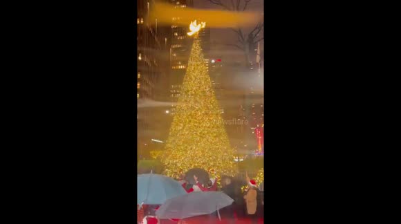 Fox News christmas tree Lighting event in Manhattan, USA - Buy, Sell or ...
