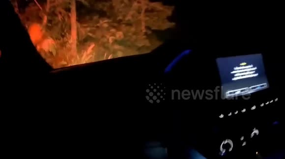 Dramatic bodycam footage shows police chasing drug mules in Thailand ...