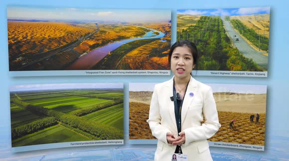 China's anti-desertification experience showcased at COP16 side event ...
