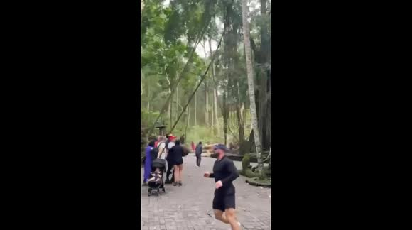 Falling tree crushes tourists to death at busty monkey forest in Bali ...