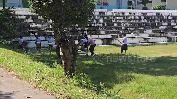 Schoolboy, 9, killed when goalpost he was swinging from collapses on ...