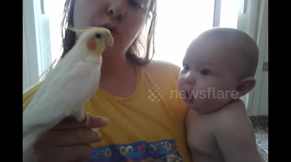 bebe de 5 meses conoce a ninfas///5 month old baby knows nymphs - Buy ...