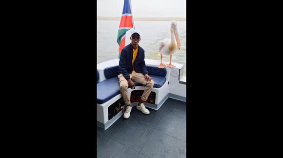 Pelican attempts to bite man on a boat in Walvis Bay, Namibia - Buy ...