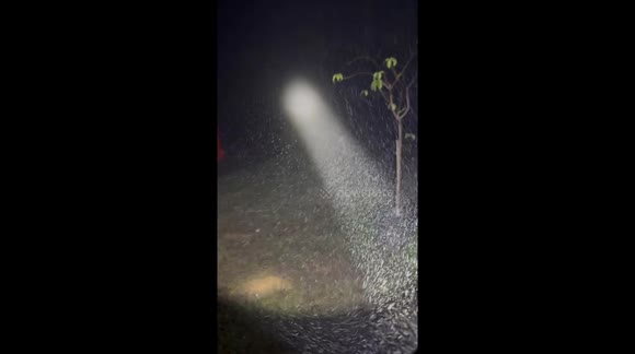 Weird weather alert: Florida resident captures 'Apocalyptic' fog (3.3M ...