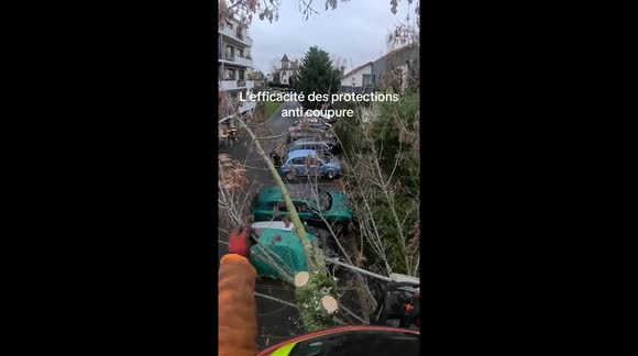 Tree trimmer accident highlights why cut protection should never be ...