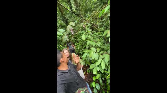 Tourists witness rare giant corpse flower bloom in Indonesian ...