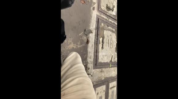 Mouse hides inside bag and escapes in Jakarta, Indonesia - Buy, Sell or ...